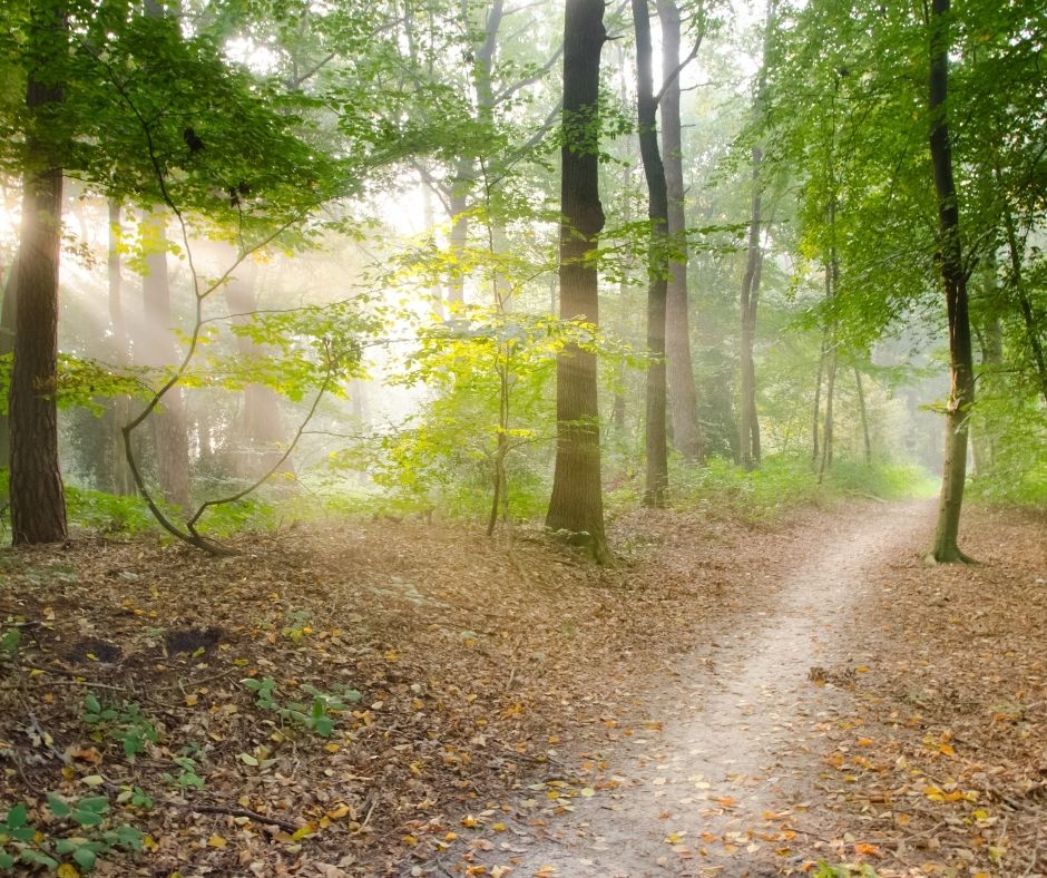 Entering Into God’s Rest – Words of Grace & Hope