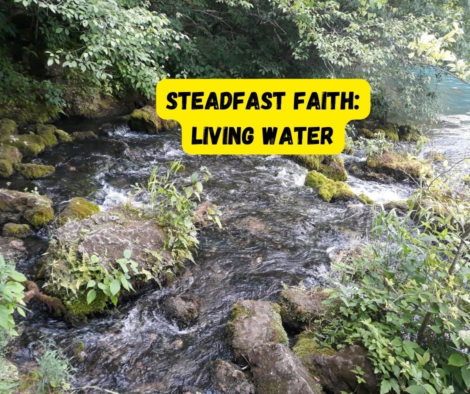 Steadfast Faith – Words of Grace & Hope