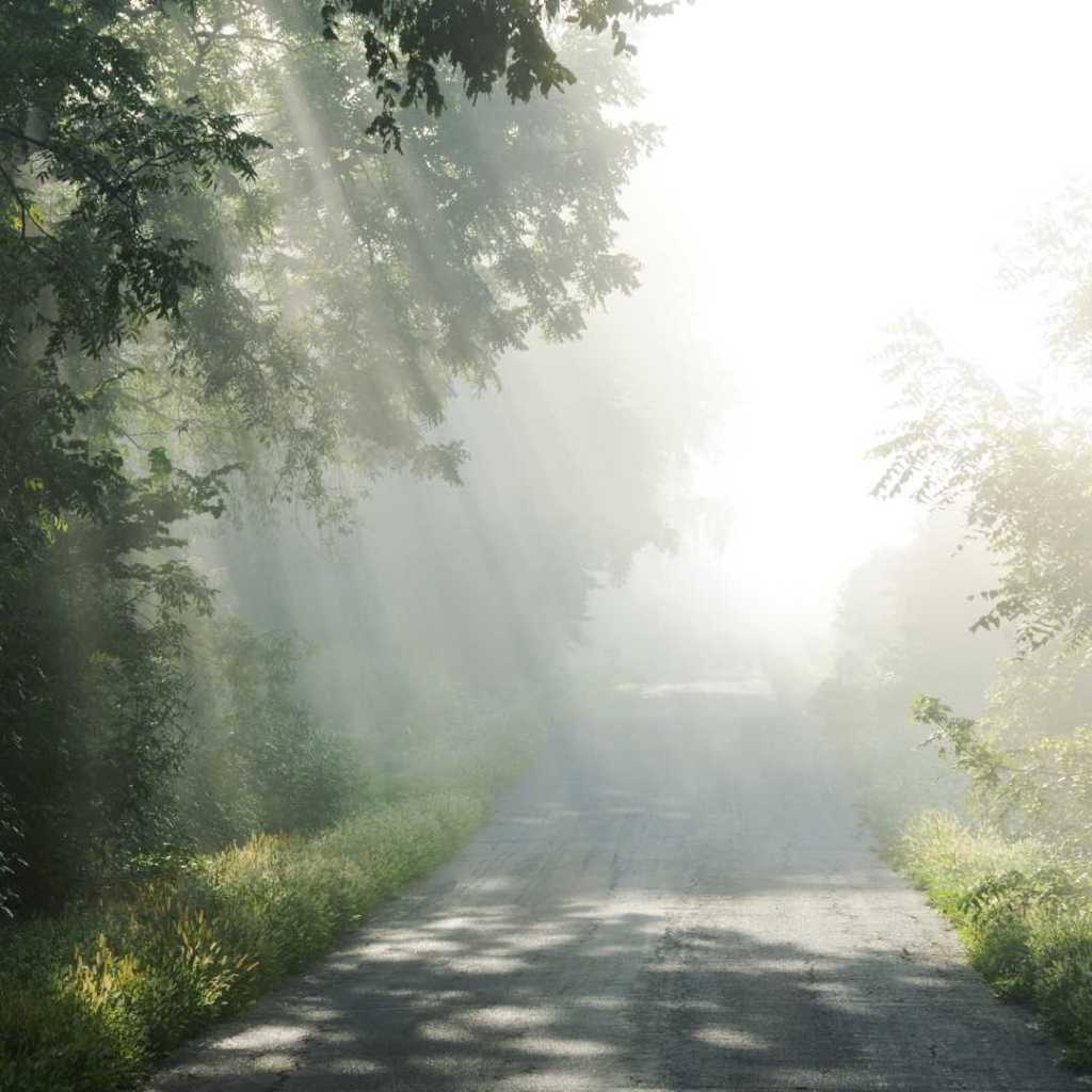 Enduring Discouragement – Words of Grace & Hope