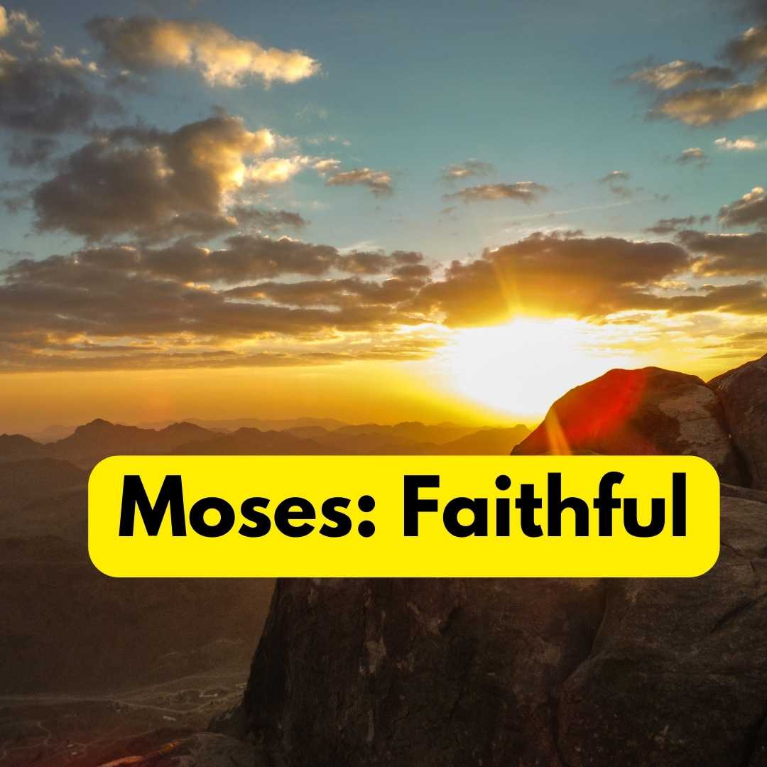 Moses: Faithful Shepherd – Words of Grace & Hope